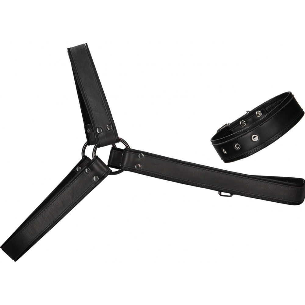 Ouch Gladiator Bondage Wear Chest Harness, One Size, Black - dearlady.us